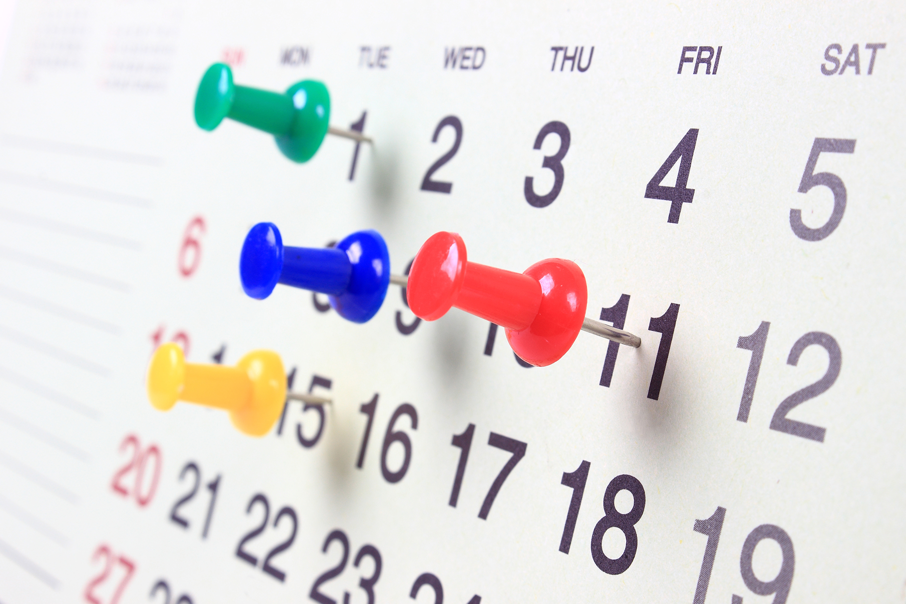 Een week als octrooigemachtigde in opleiding